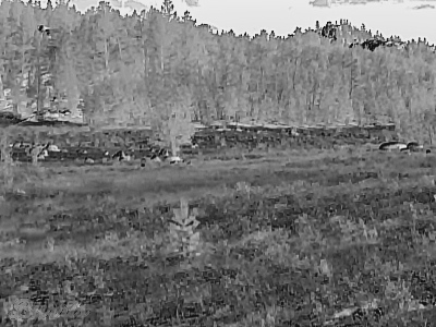 BTS35 v3 | Burris Optics